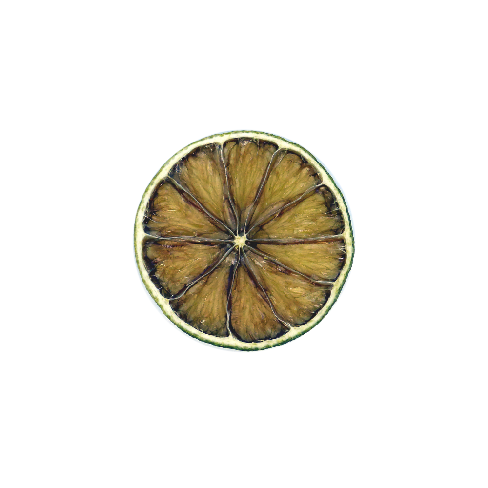 Dehydrated Lime Wheels | Cocktail Emporium