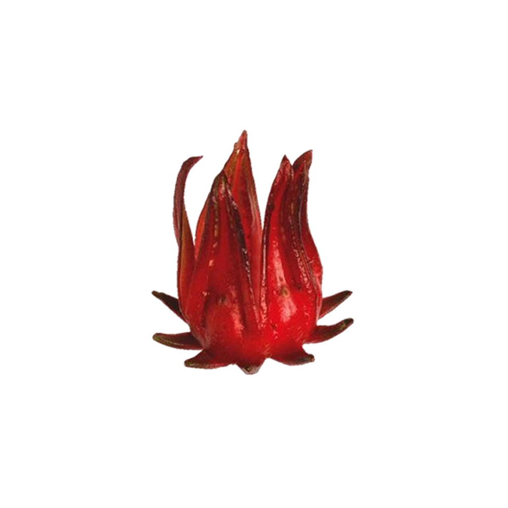Wild Hibiscus Flowers in Syrup (1L) | Cocktail Emporium
